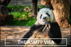A Comprehensive Guide to the ASMTP Visa